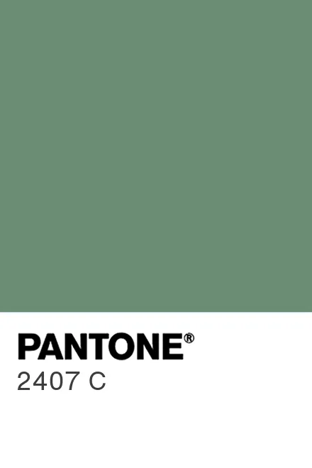 PANTONE 2407 C - Pantone色号库|Pantone潘通中国官网