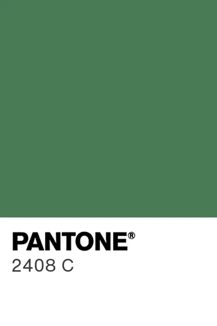 PANTONE 2408 C - Pantone色号库|Pantone潘通中国官网