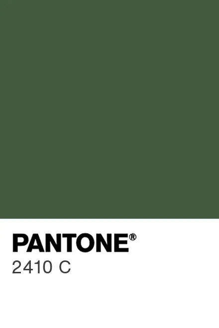 PANTONE 2410 C - Pantone色号库|Pantone潘通中国官网