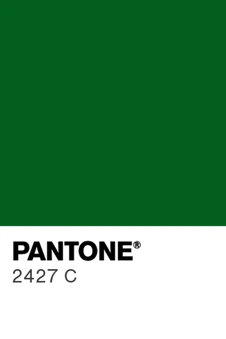 PANTONE 2427 C - Pantone色号库|Pantone潘通中国官网