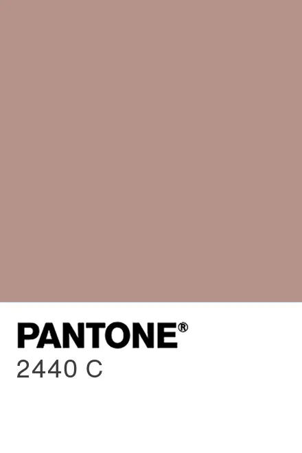 PANTONE 2440 C - Pantone色号库|Pantone潘通中国官网