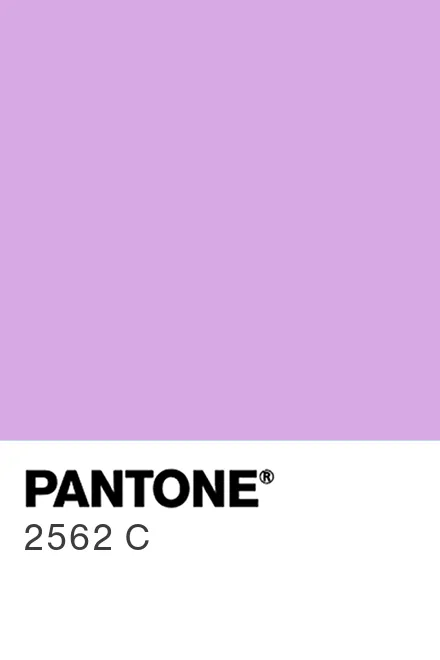 PANTONE 2562 C - Pantone色号库|Pantone潘通中国官网