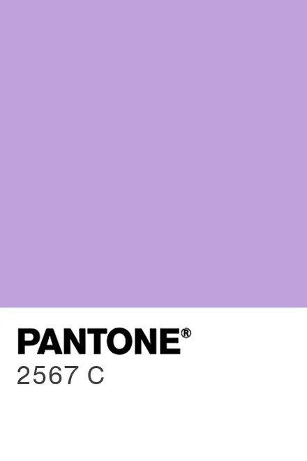 PANTONE 2567 C - Pantone色号库|Pantone潘通中国官网