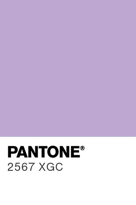 PANTONE 2567 XGC - Pantone色号库|Pantone潘通中国官网