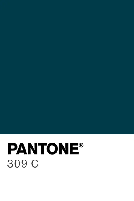 PANTONE 309 C - Pantone色号库|Pantone潘通中国官网