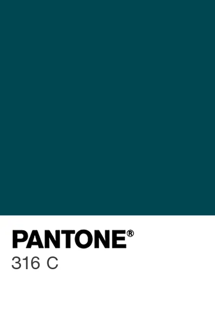 PANTONE 316 C - Pantone色号库|Pantone潘通中国官网