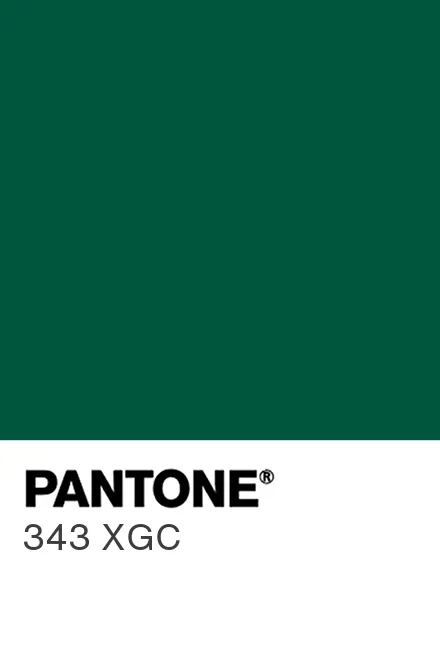 PANTONE 343 XGC - Pantone色号库|Pantone潘通中国官网