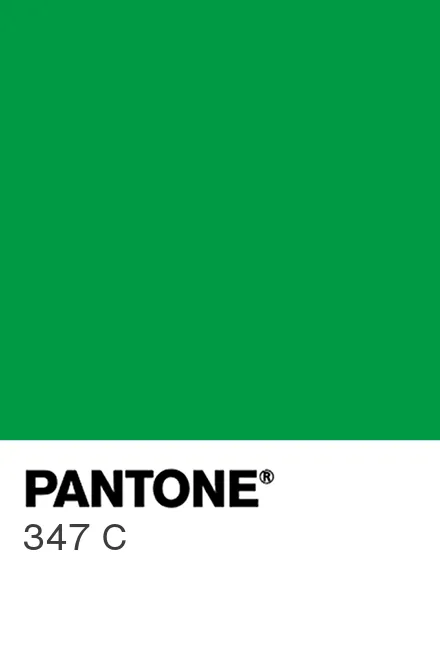 PANTONE 347 C - Pantone色号库|Pantone潘通中国官网 PANTONE 347 C - Pantone色号库|Pantone潘通中国官网
