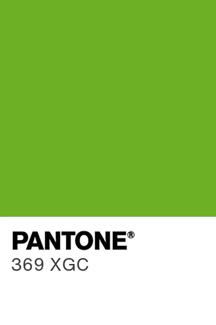 PANTONE 369 XGC - Pantone色号库|Pantone潘通中国官网
