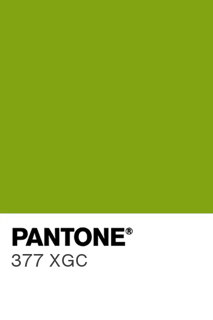 PANTONE 377 XGC - Pantone色号库|Pantone潘通中国官网