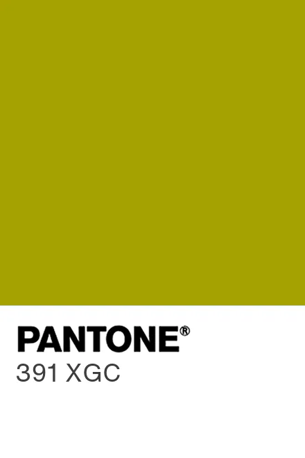 PANTONE 391 XGC - Pantone色号库|Pantone潘通中国官网
