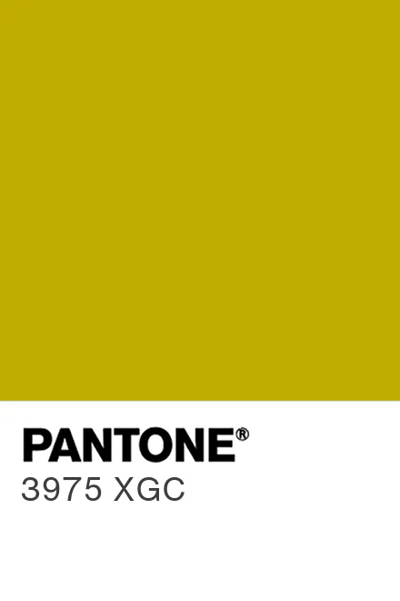 PANTONE 3975 XGC - Pantone色号库|Pantone潘通中国官网