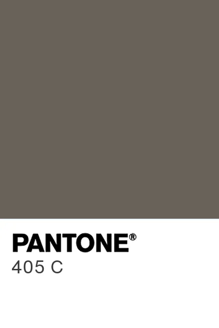 PANTONE 405 C - Pantone色号库|Pantone潘通中国官网
