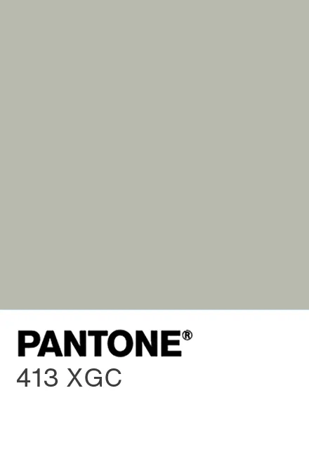 PANTONE 413 XGC - Pantone色号库|Pantone潘通中国官网