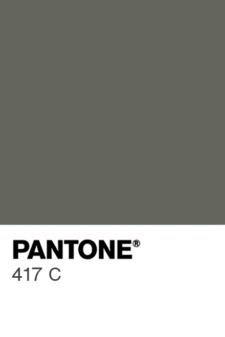 PANTONE 417 C - Pantone色号库|Pantone潘通中国官网