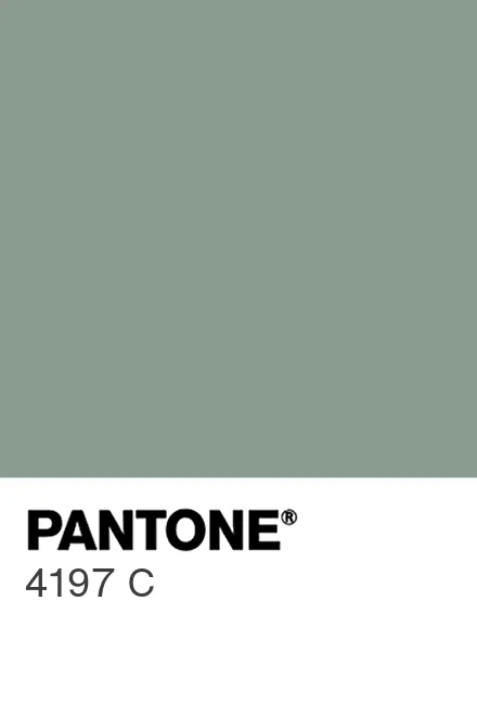 PANTONE 4197 C - Pantone色号库|Pantone潘通中国官网