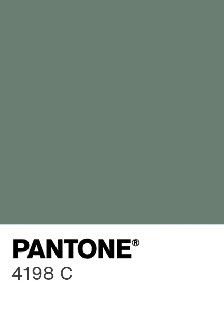 PANTONE 4198 C - Pantone色号库|Pantone潘通中国官网