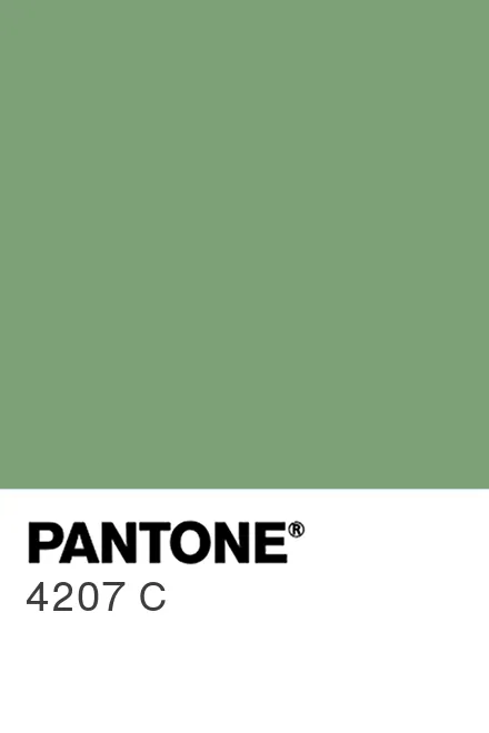 PANTONE 4207 C - Pantone色号库|Pantone潘通中国官网