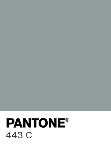 PANTONE 443 C - Pantone色号库|Pantone潘通中国官网