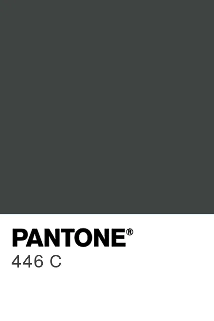 PANTONE 446 C - Pantone色号库|Pantone潘通中国官网