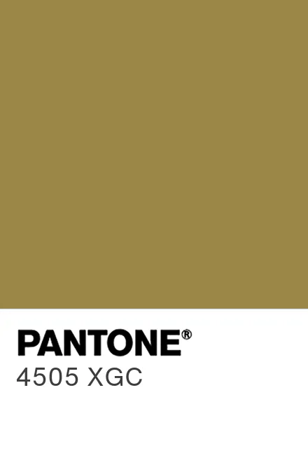 PANTONE 4505 XGC - Pantone色号库|Pantone潘通中国官网