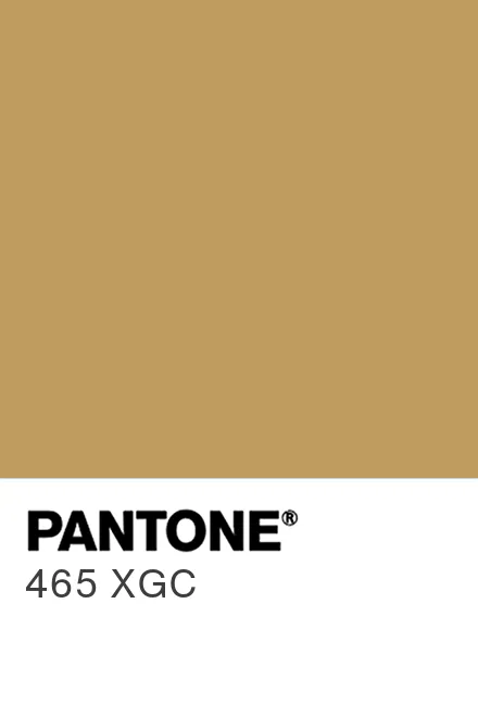 PANTONE 465 XGC - Pantone色号库|Pantone潘通中国官网