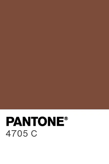 PANTONE 4705 C - Pantone色号库|Pantone潘通中国官网