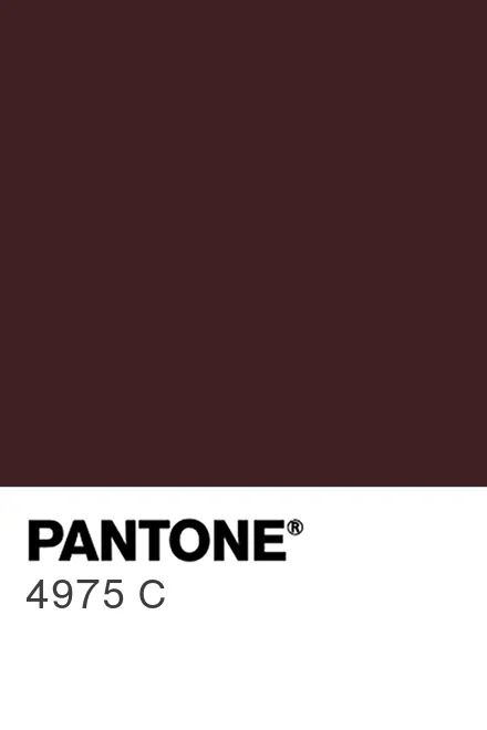 PANTONE 4975 C - Pantone色号库|Pantone潘通中国官网
