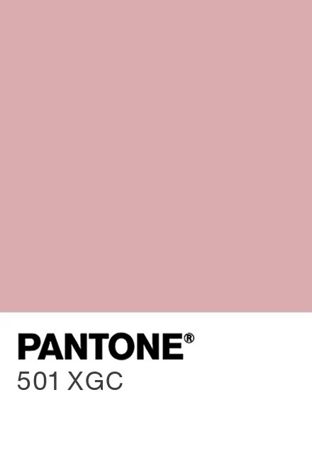 PANTONE 501 XGC - Pantone色号库|Pantone潘通中国官网