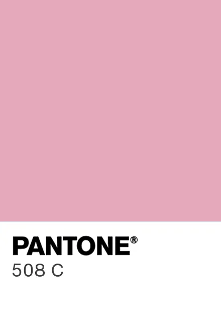 PANTONE 508 C - Pantone色号库|Pantone潘通中国官网