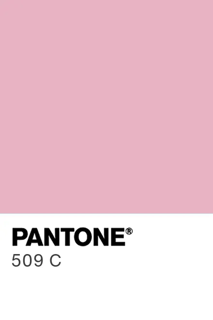 PANTONE 509 C - Pantone色号库|Pantone潘通中国官网