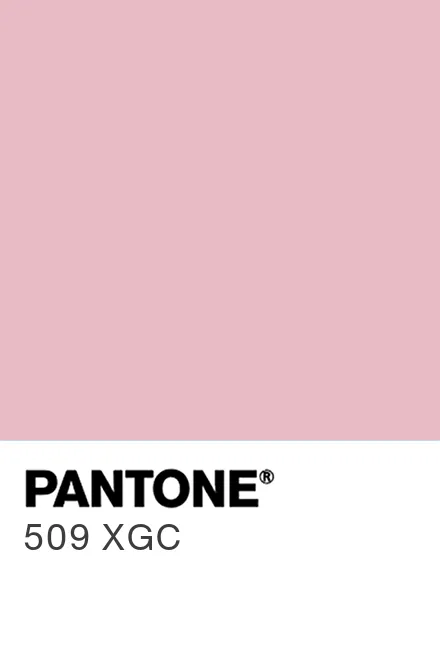 PANTONE 509 XGC - Pantone色号库|Pantone潘通中国官网