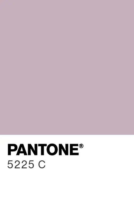 PANTONE 5225 C - Pantone色号库|Pantone潘通中国官网
