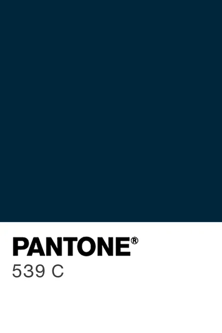 PANTONE 539 C - Pantone色号库|Pantone潘通中国官网
