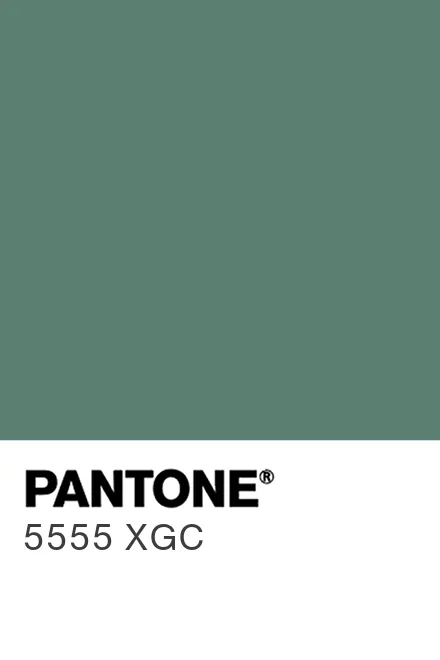 PANTONE 5555 XGC - Pantone色号库|Pantone潘通中国官网