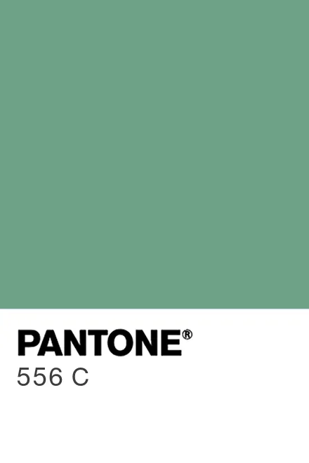 PANTONE 556 C - Pantone色号库|Pantone潘通中国官网