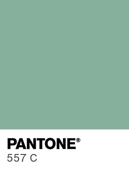 PANTONE 557 C - Pantone色号库|Pantone潘通中国官网