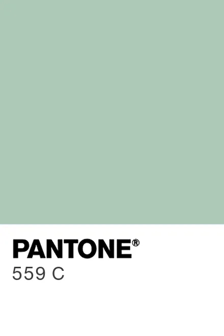 PANTONE 559 C - Pantone色号库|Pantone潘通中国官网