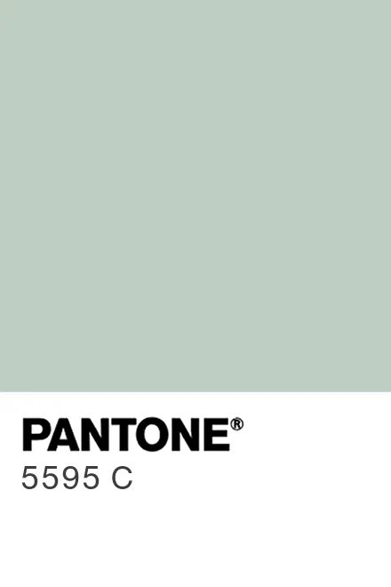 PANTONE 5595 C - Pantone色号库|Pantone潘通中国官网