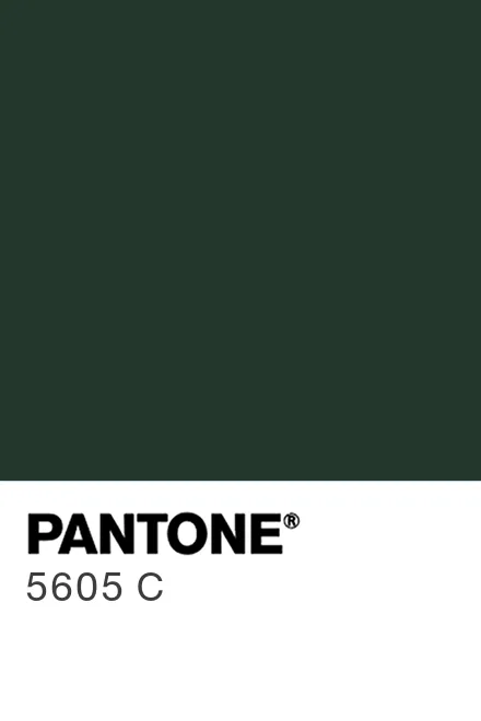 PANTONE 5605 C - Pantone色号库|Pantone潘通中国官网