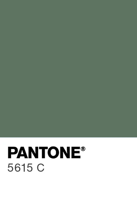 PANTONE 5615 C - Pantone色号库|Pantone潘通中国官网