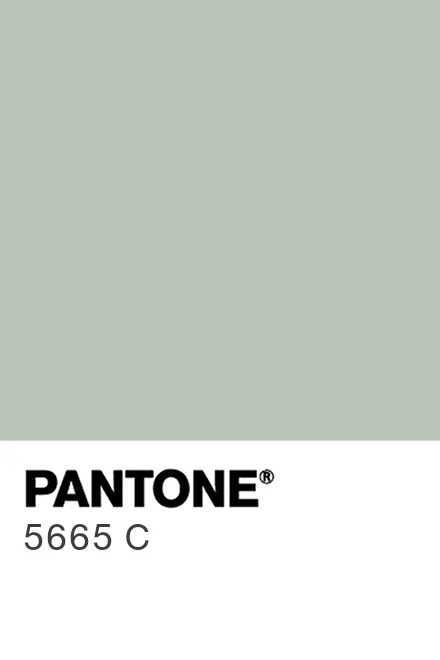 PANTONE 5665 C - Pantone色号库|Pantone潘通中国官网