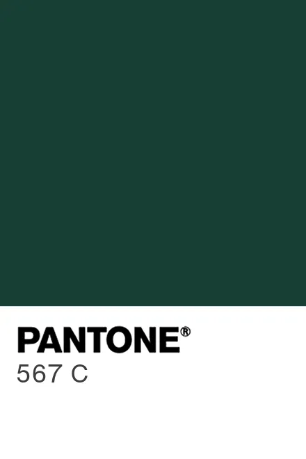 PANTONE 567 C - Pantone色号库|Pantone潘通中国官网 PANTONE 567 C - Pantone色号库|Pantone潘通中国官网