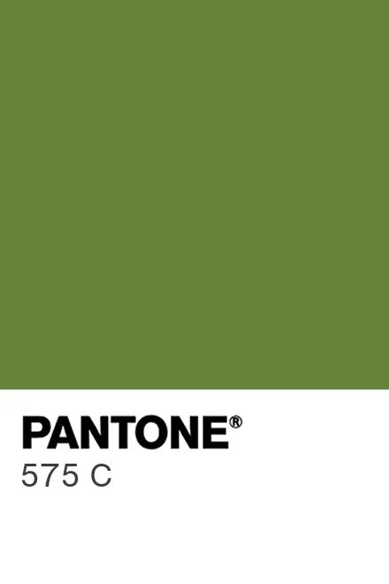 PANTONE 575 C - Pantone色号库|Pantone潘通中国官网