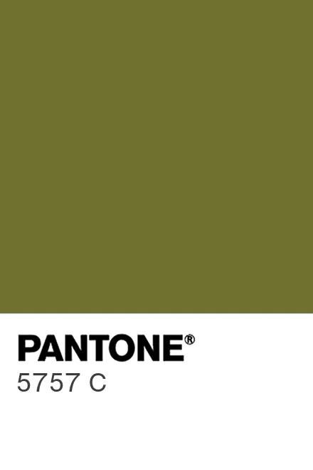 PANTONE 5757 C - Pantone色号库|Pantone潘通中国官网