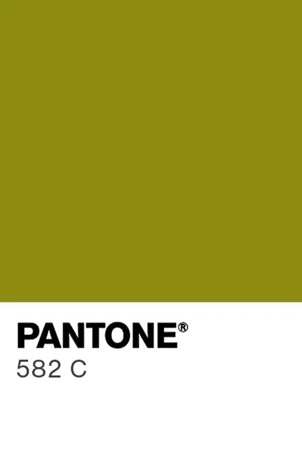 PANTONE 582 C - Pantone色号库|Pantone潘通中国官网