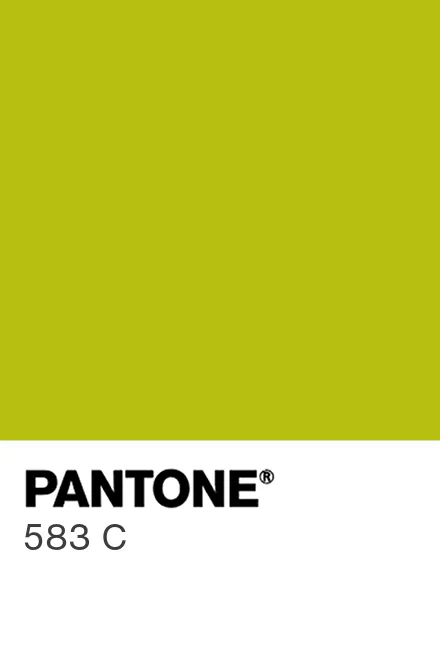 PANTONE 583 C - Pantone色号库|Pantone潘通中国官网