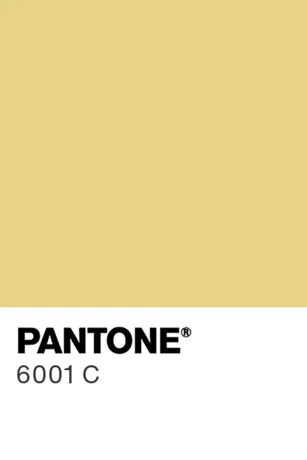 PANTONE 6001 C - Pantone色号库|Pantone潘通中国官网