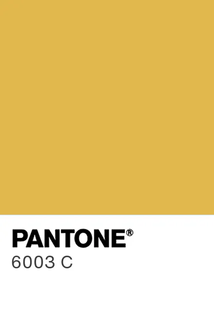 PANTONE 6003 C - Pantone色号库|Pantone潘通中国官网