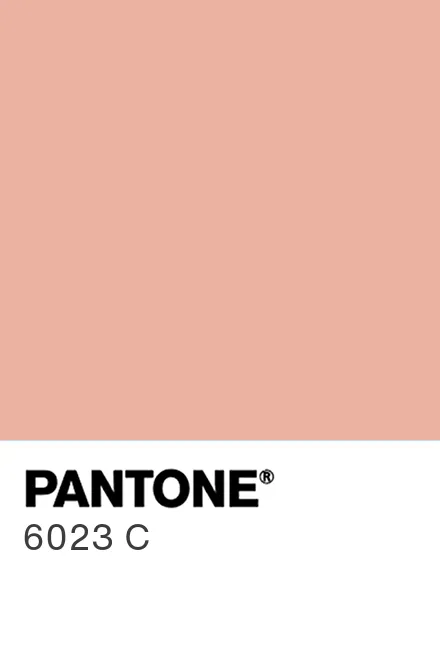 PANTONE 6023 C - Pantone色号库|Pantone潘通中国官网